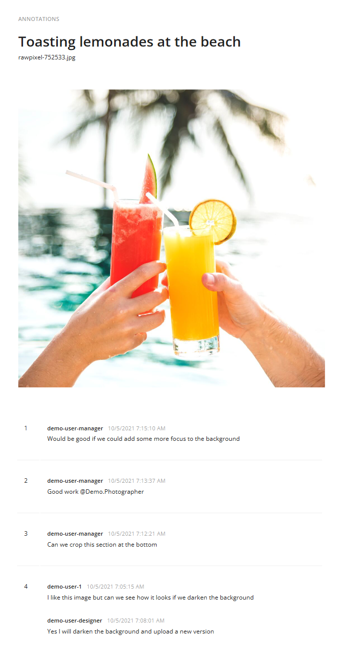 Annotation report format